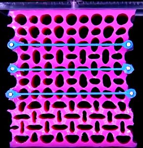 mechanical metamaterials martin van hecke pink rubber - AMOLF