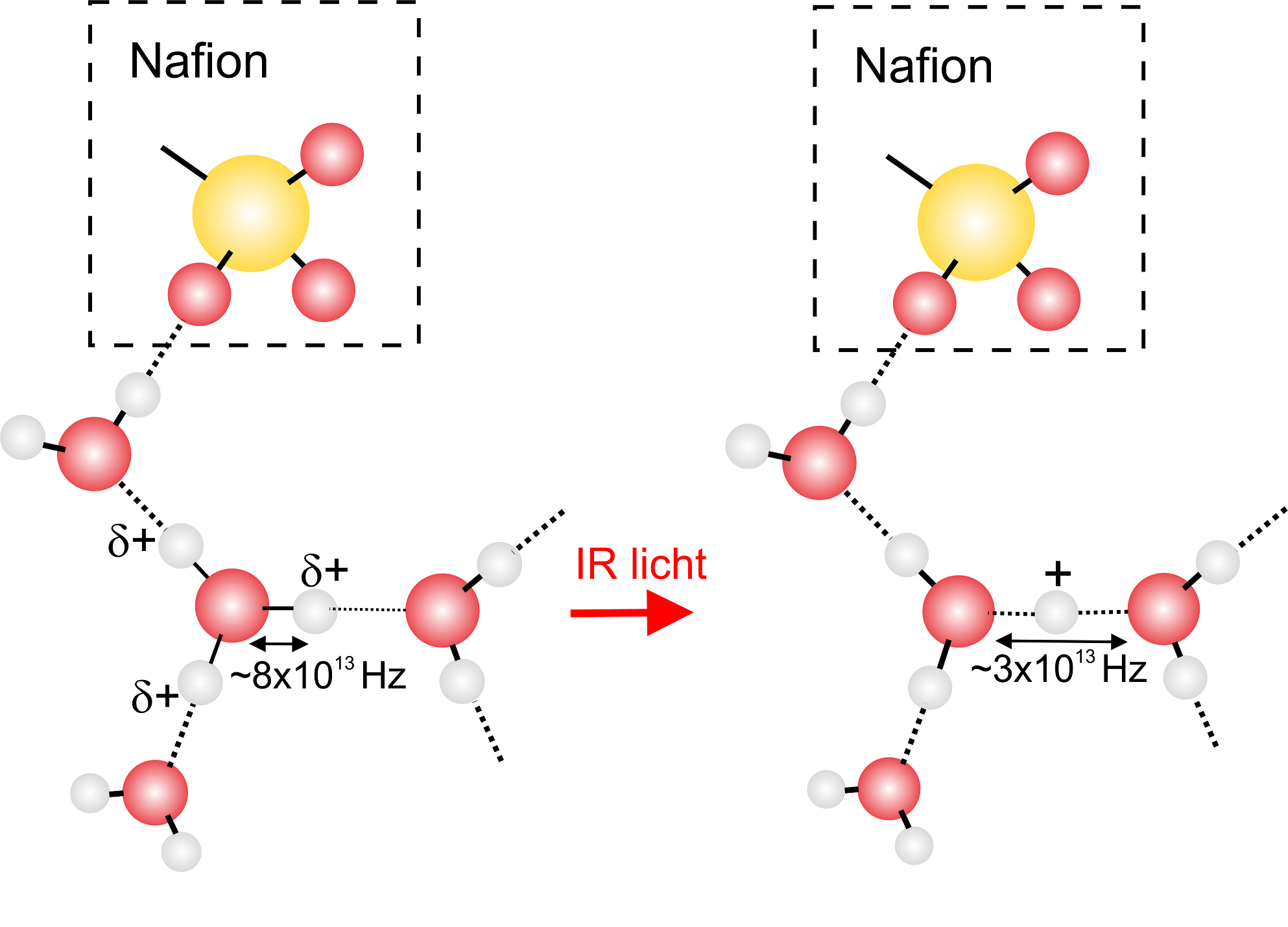 Infrared-activated fuel cells - AMOLF