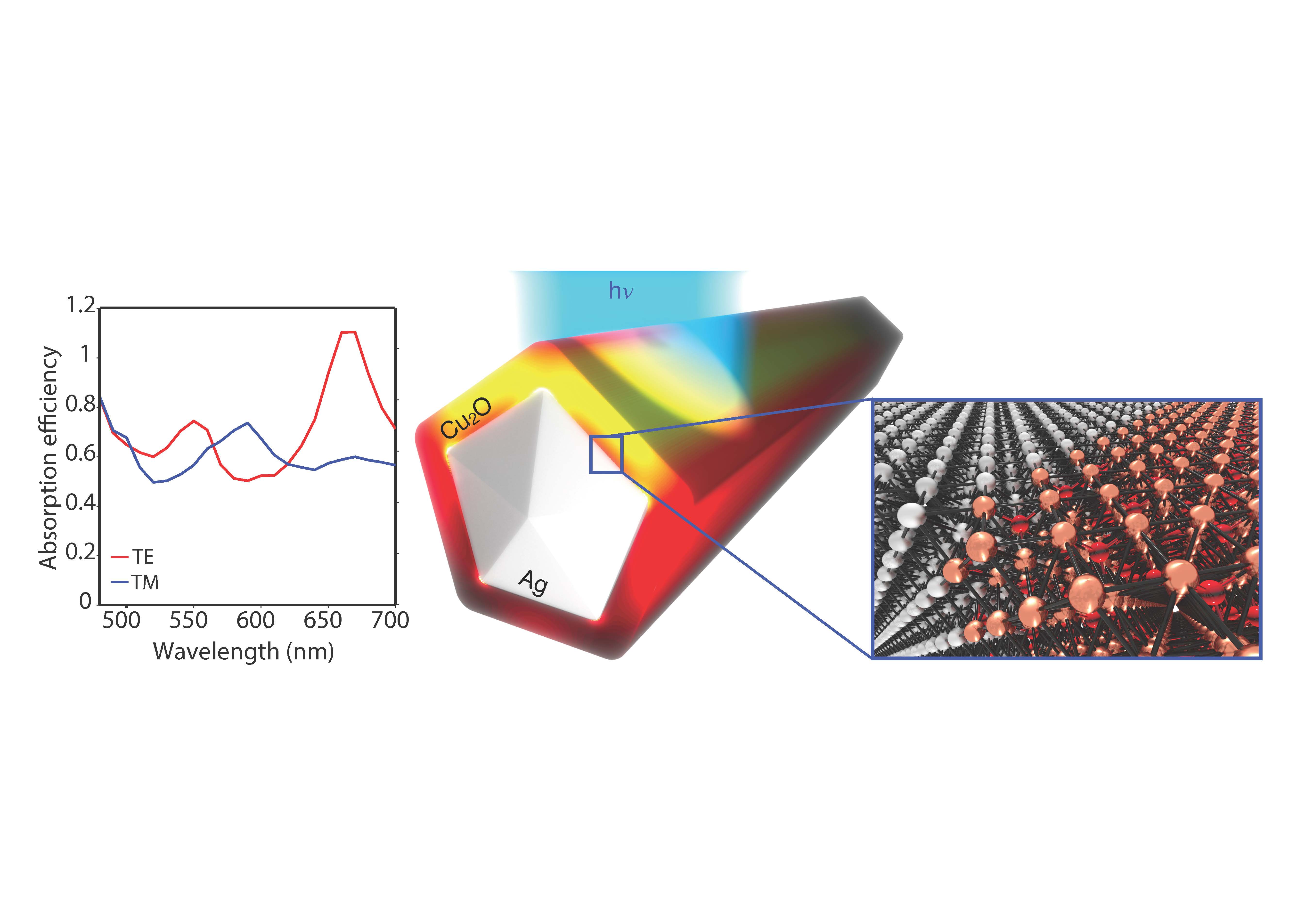 nanoscale solar cells erik garnett nanoletters - AMOLF
