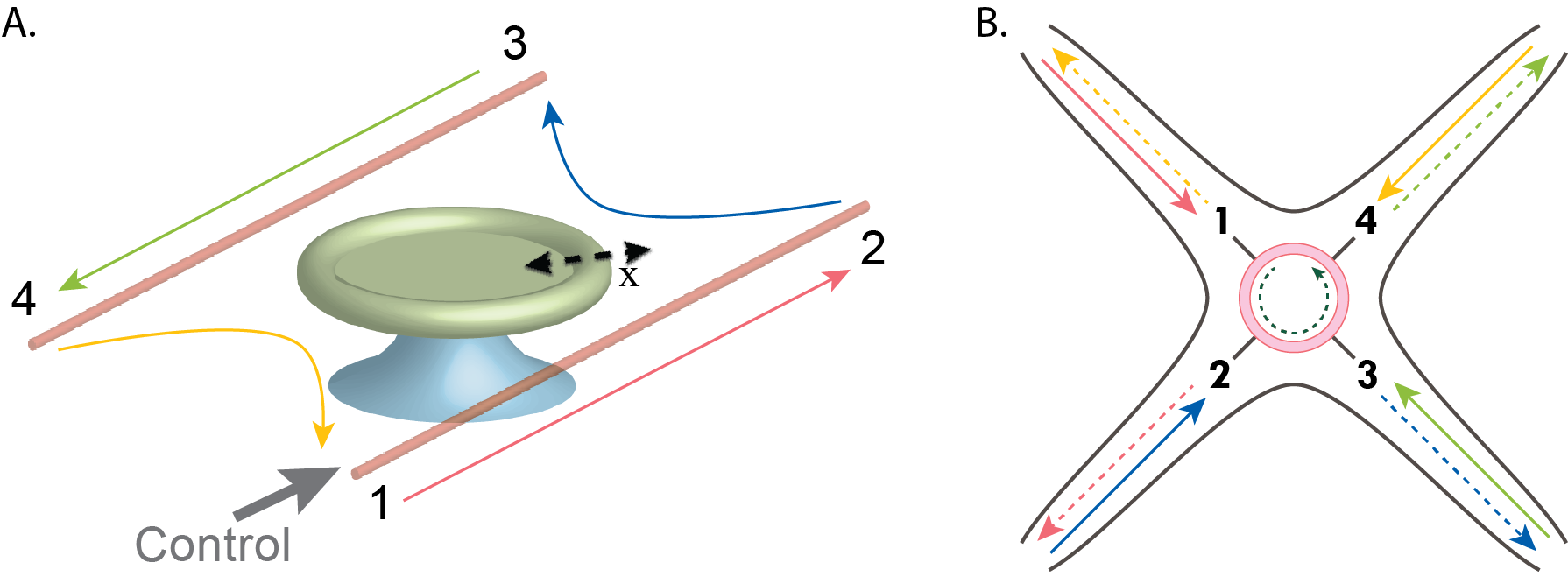 A Microscopic Roundabout for Light - AMOLF