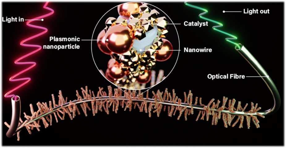 Light-Catalyst Interactions to Sense and Steer Chemical Reactions - AMOLF