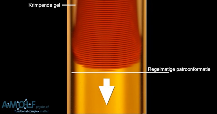 Regular patterns – like those found in nature – now also produced in ...