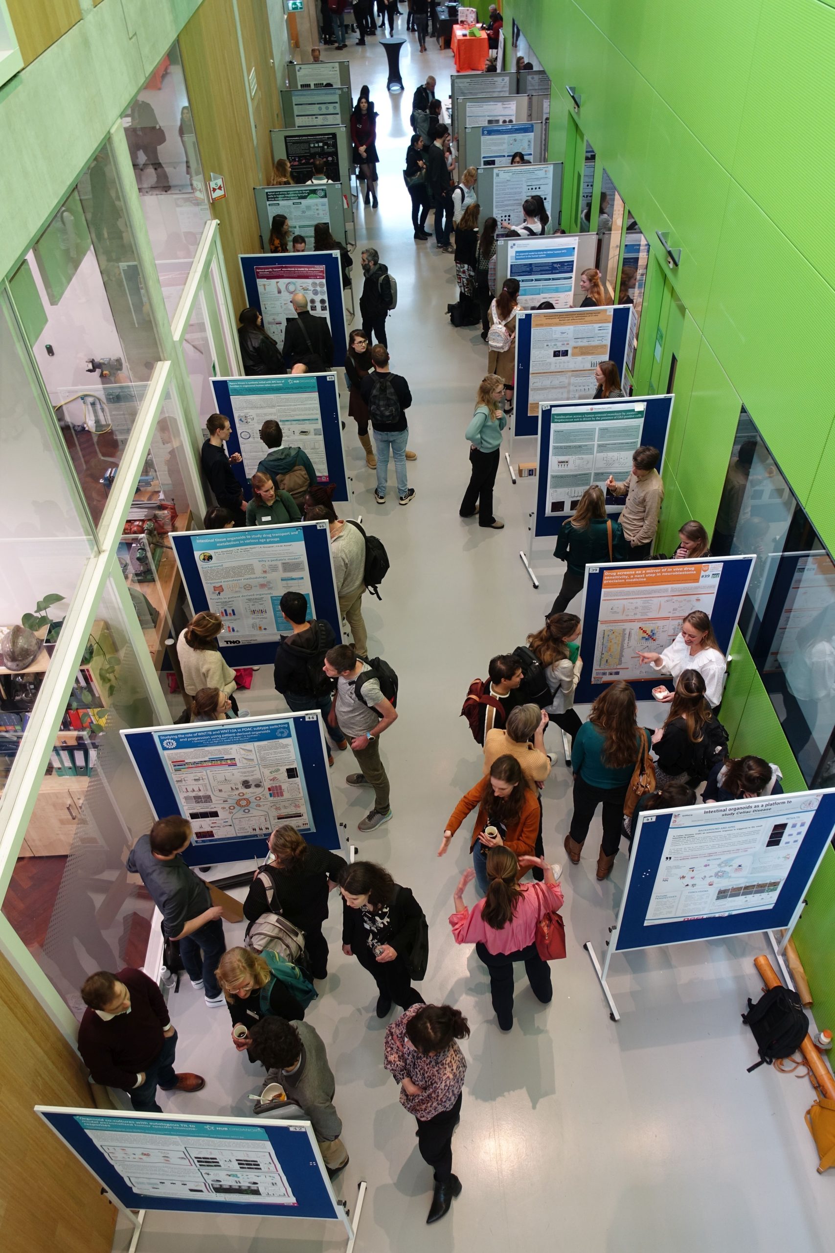 OrganoidNL 2023: A successful showcase of organoid research in the ...